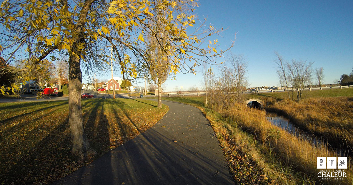 Bathurst Volunteers Build Bridge Before Storm - News | Chaleur Green Trails