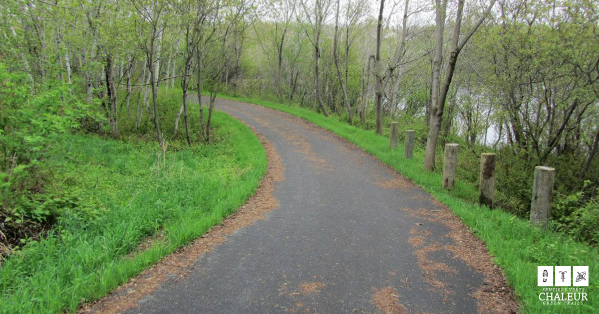 Home | Chaleur Green Trails