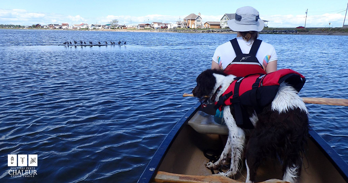 Home | Chaleur Green Trails