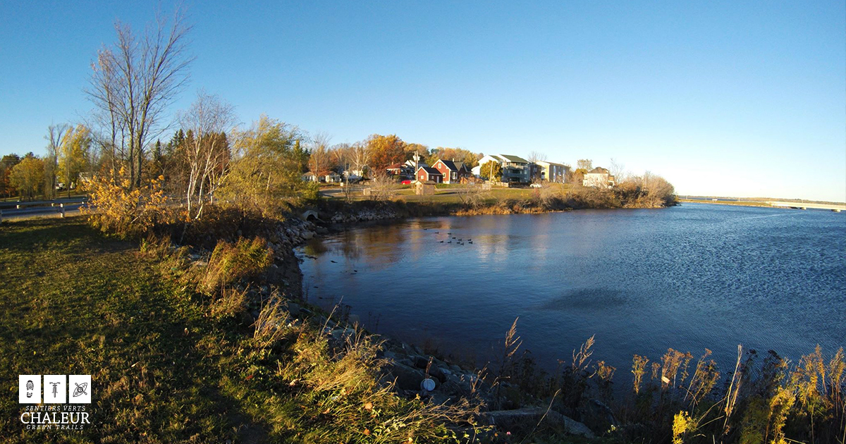Bathurst Volunteers Build Bridge Before Storm - News | Chaleur Green Trails